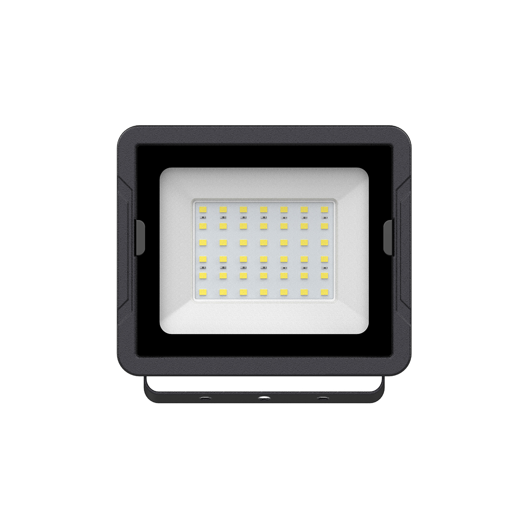 ZIGMA ECO FLOODLIGHT FZET0123-30WTDL BLACK ALUMINUM 30W LED + DAYLIGHT ...