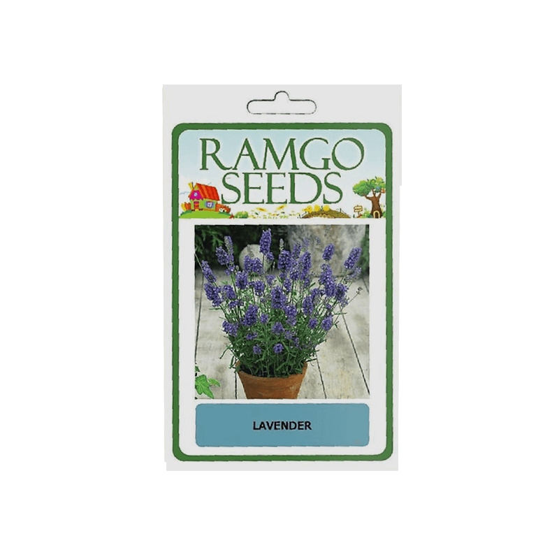 RAMGO SEEDS LAVANDER BROWN HERB STANDARD